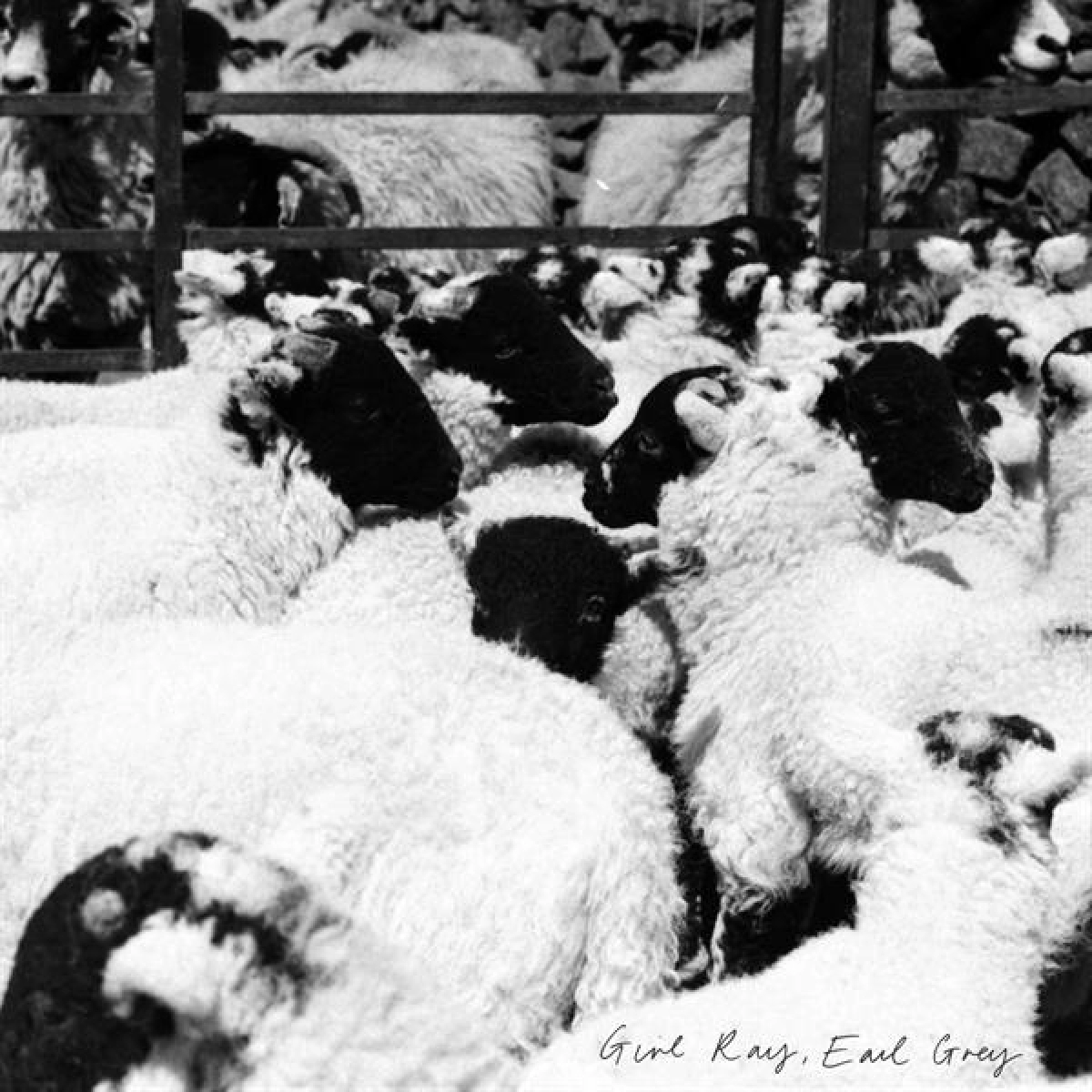 Girl Ray's debut is a poetic blend of late night texts and bucolic ...