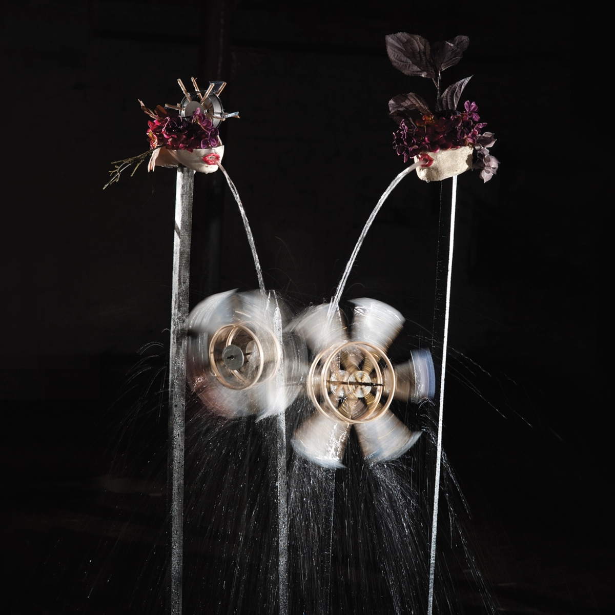 Shield Patterns - Contour Lines | The Line of Best Fit