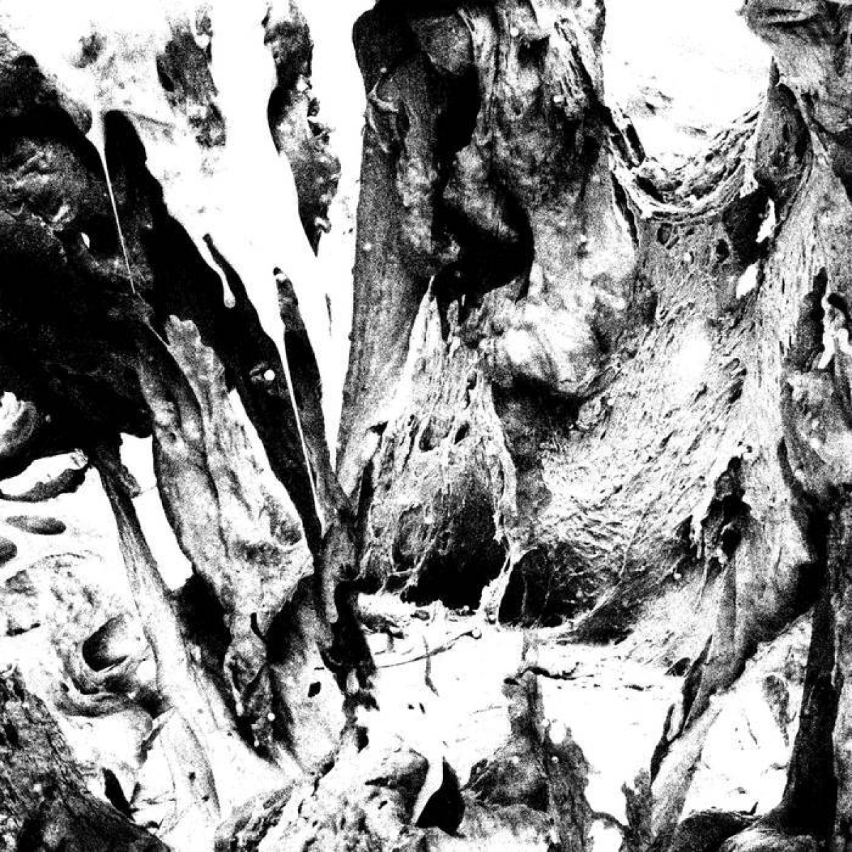 Other Half: Soft Action Review - developed chaos with observational ...